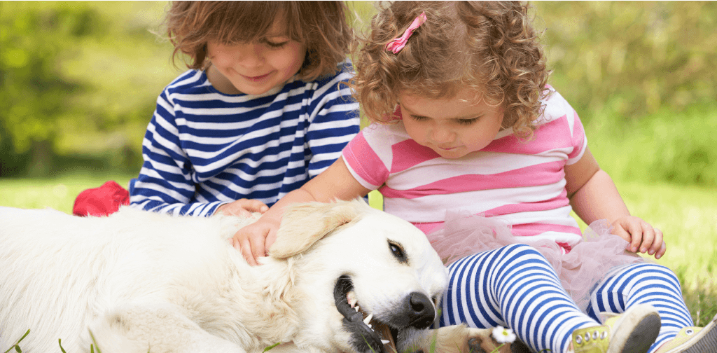 How to Choose the Best Dog Breed for Your Lifestyle