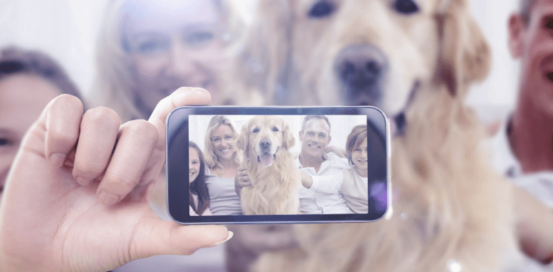 New Google Photo App Pet Feature Adds Fun for Dog Lovers