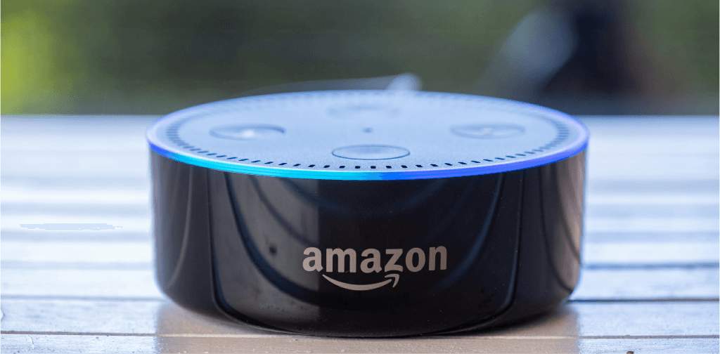 Top 10 Alexa Skills for Dog Owners - Canine Campus Dog Daycare & Boarding