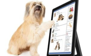 Top 10 Alexa Skills for Dog Owners - Canine Campus Dog Daycare & Boarding