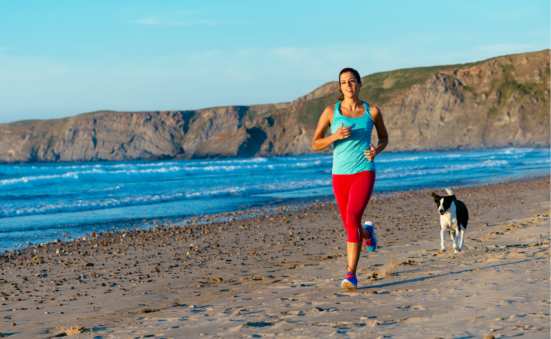 Tips for Running With Your Dog - Canine Campus Dog Daycare & Boarding