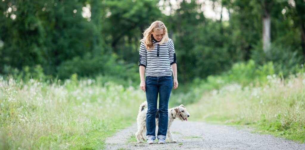 Why Does My Dog Follow Me Everywhere? - Canine Campus Dog Daycare ...