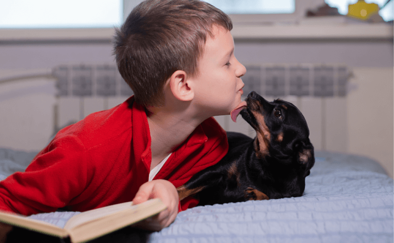 Reading Therapy Dogs Boost Literacy Confidence in Kids - Canine Campus ...