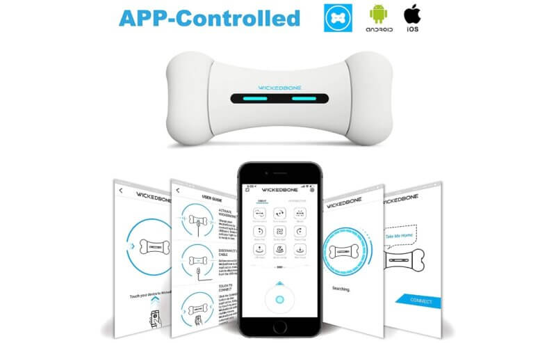 14 Best Dog Anxiety Toys to Keep Your Dog Calm - Canine Campus Dog ...