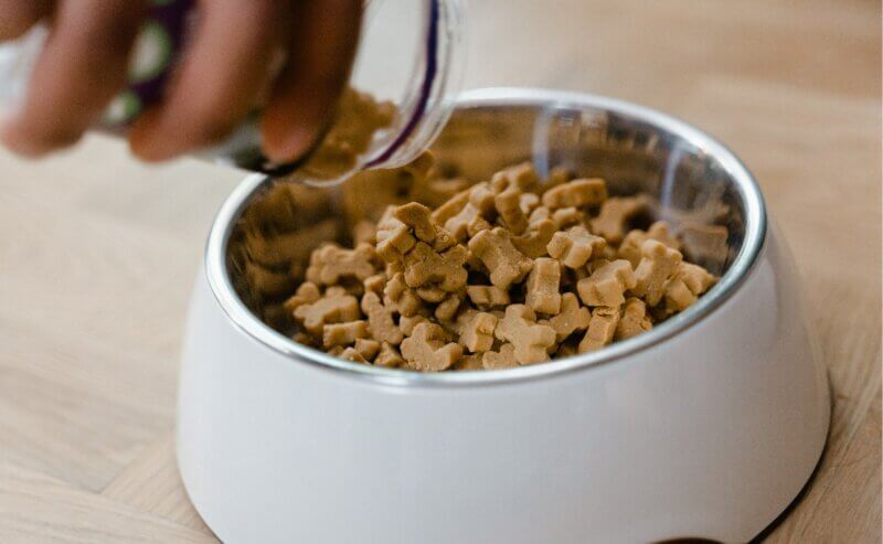10 Easy Ways to Improve Your Dog’s Kibble Diet - Canine Campus Dog ...