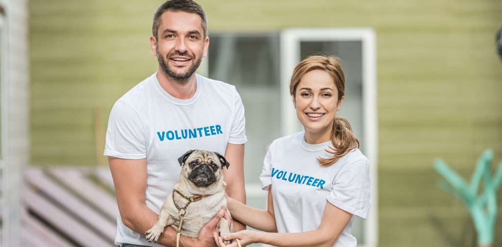 8 Ways to Help Dogs in Need This Holiday Season - Canine Campus Dog ...