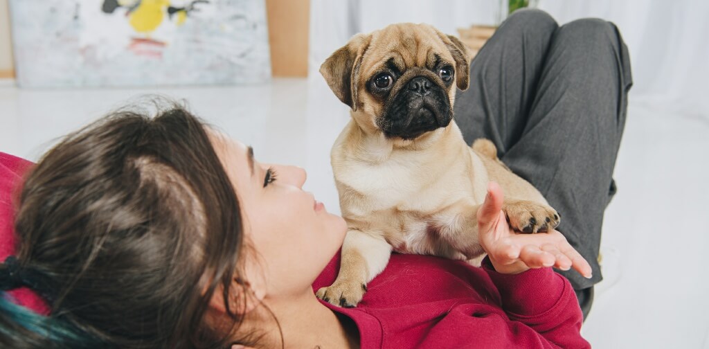 4 Puppy Training Rules to Positively Change Your Life - Canine Campus ...