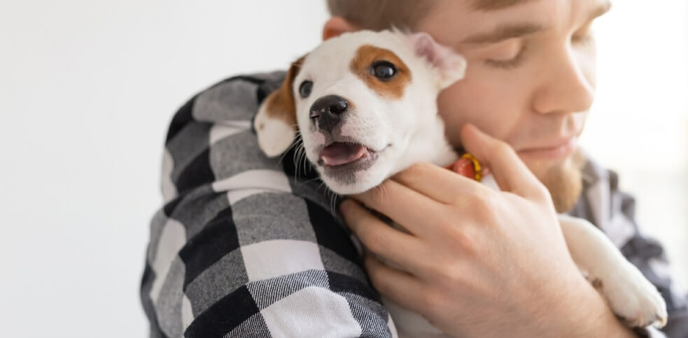 9 Unique Ways to Remember Your Beloved Dog - Canine Campus Dog Daycare ...