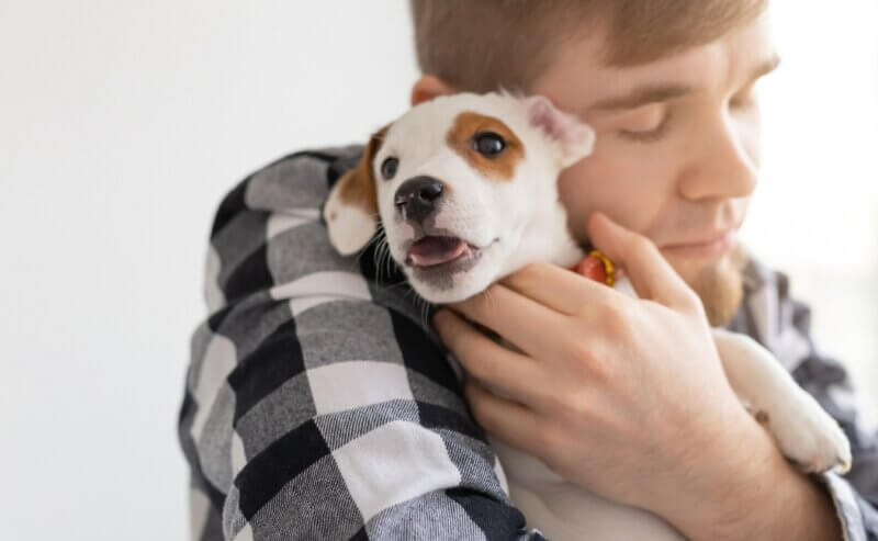 9 Unique Ways to Remember Your Beloved Dog - Canine Campus Dog Daycare ...