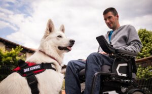 How Service Dogs Reduce PTSD Symptoms: Unleashing the Healing Bond ...