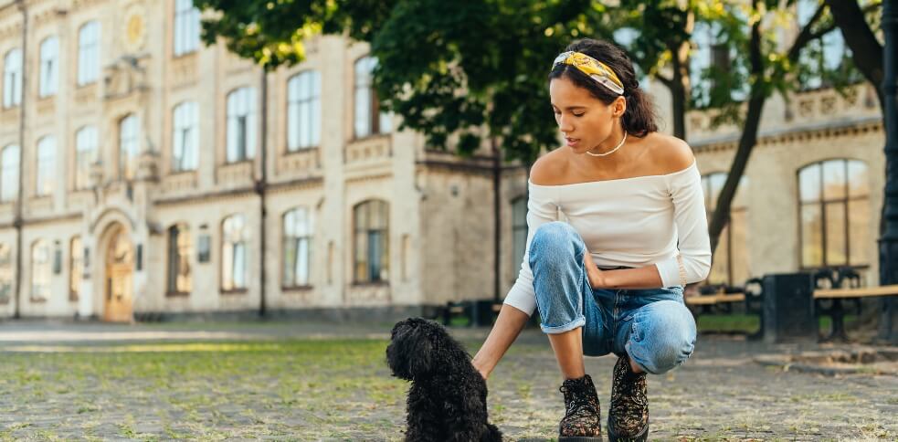 How to Teach Your Puppy Their Name - Canine Campus Dog Daycare & Boarding