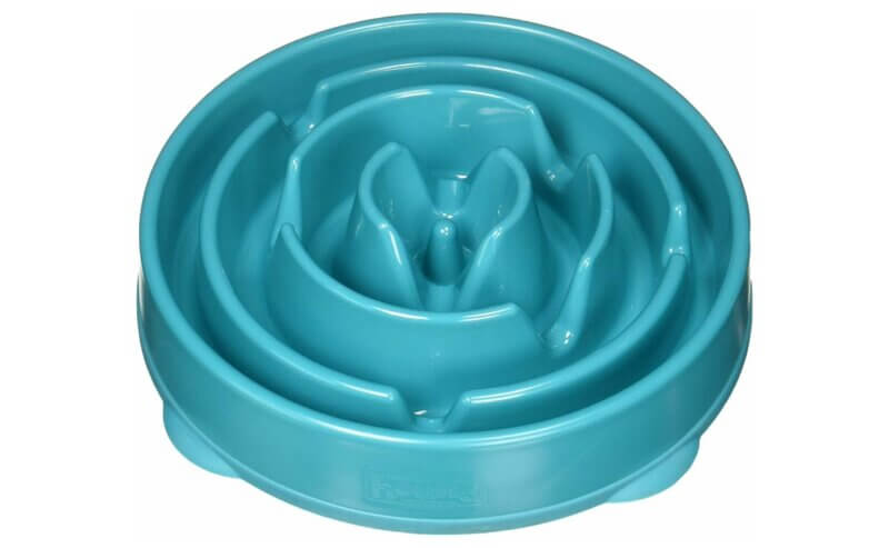 Top 6 Best Slow Feeder Dog Bowls - Canine Campus Dog Daycare & Boarding