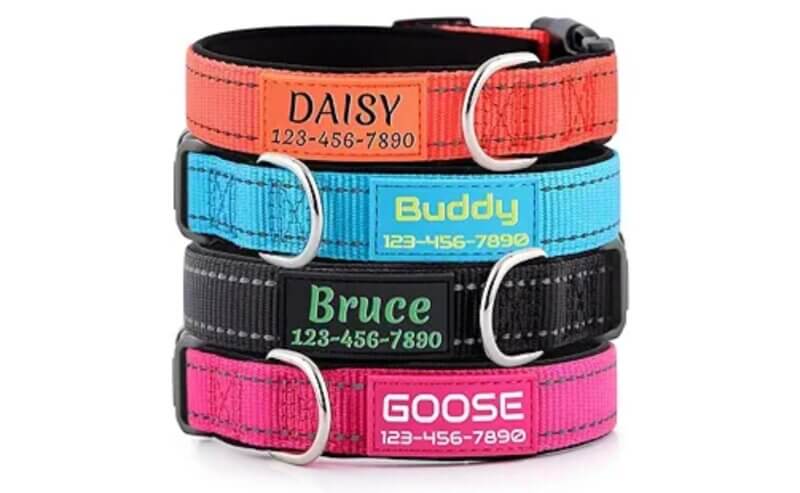 11 Best Unique Gifts for Dogs and Dog Lovers - Canine Campus Dog ...